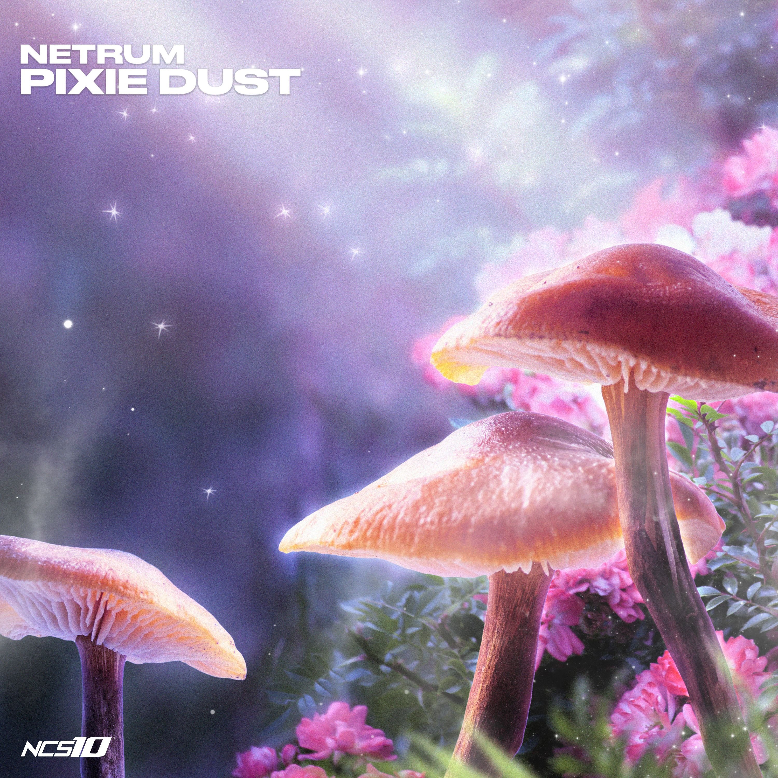 Pixie Lust Telegraph