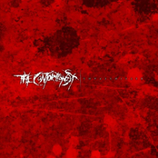 Seymour Duncan Cameron Maynard | Seymour Duncan