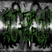 Seymour Duncan Tim Howley | Seymour Duncan