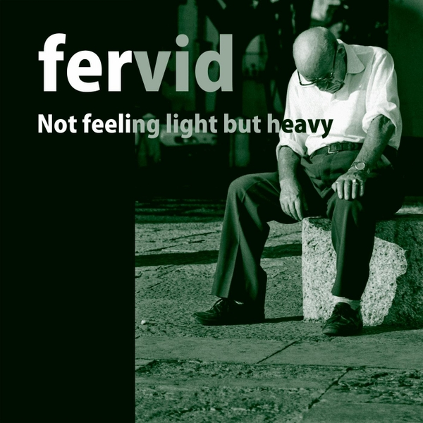 Fervid - Not Feeling Light but Heavy[indiepop] : r/Music