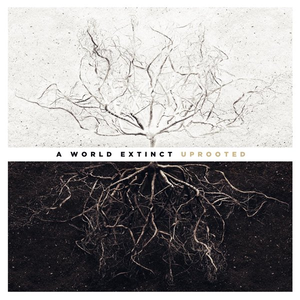 Skywalker | A World Extinct Lyrics, Meaning & Videos