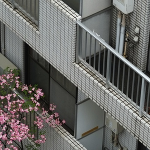 Digital再燃 | HASAMI group Lyrics, Meaning & Videos