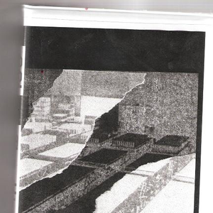 Schwag Mule | Dead Peasant Insurance Lyrics, Meaning & Videos