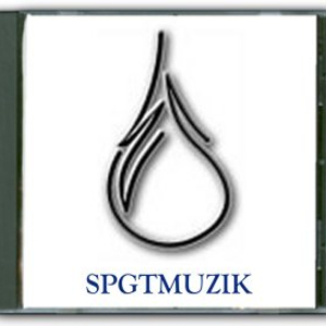 Drunk on the Freeway | Wckr Spgt Lyrics, Meaning & Videos