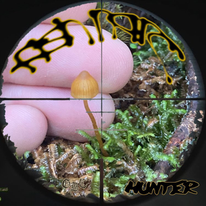 shrug | Fish Narc Lyrics, Meaning & Videos