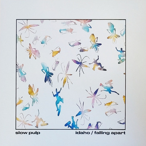 fALliNg AParT | Slow Pulp Lyrics, Meaning & Videos