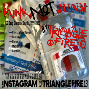 Punk Not Junk (2023 UnMastered) | Triangle Fire Lyrics, Meaning & Videos