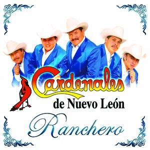 Pa' Qu%c3%a9 Son Pasiones | Cardenales De Nuevo Le%c3%b3n Lyrics ...