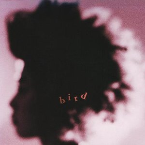 Bird music, videos, stats, and photos | Last.fm
