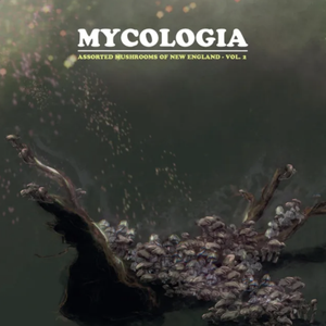 Clavaria fragilis - White Worm Coral | Mycologia Lyrics, Meaning & Videos