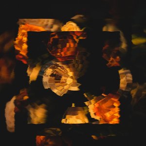 Ecdo - EP | PRINCIPLEASURE Lyrics, Meaning & Videos