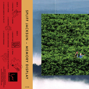 scenario (beefin' on the 4th) | spliff jacksun Lyrics, Meaning & Videos