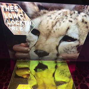 A Grown Man, Crying | The Slow Clock Lyrics, Meaning & Videos