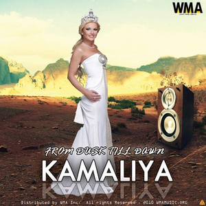 From Dusk Till Dawn | Kamaliya Lyrics, Meaning & Videos
