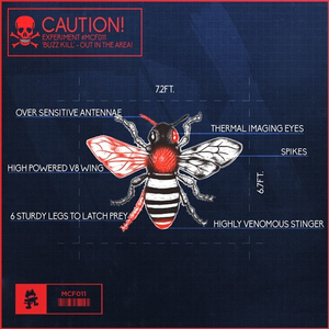 Buzz Kill | pixl Lyrics, Meaning & Videos