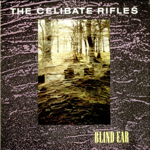 Sean O'Farrell | The Celibate Rifles Lyrics, Meaning & Videos