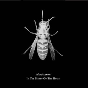 Jon Poole music, videos, stats, and photos | Last.fm