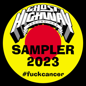 Out of your league | The Chuck Norris Experiment Lyrics, Meaning & Videos