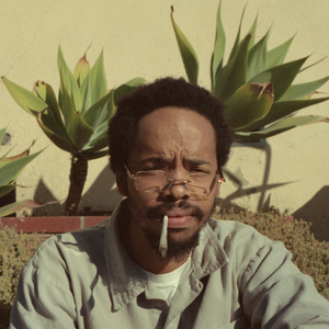 WELL DONE! | Earl Sweatshirt Lyrics, Meaning & Videos