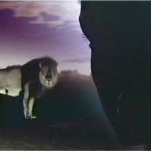 Cia Berg music, videos, stats, and photos | Last.fm