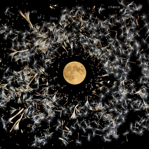 Goodnight World | Lisa O'Neill Lyrics, Meaning & Videos