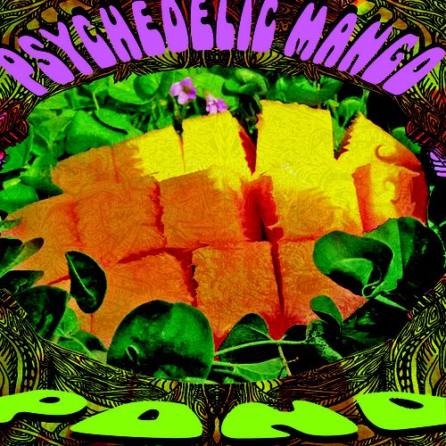 Psychedelic Mango — Pond | Last.fm