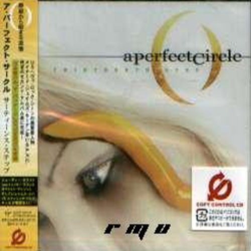 A Perfect Circle Thirteenth Step