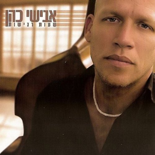 Shaot Regishot — Avishai Cohen | Last.fm