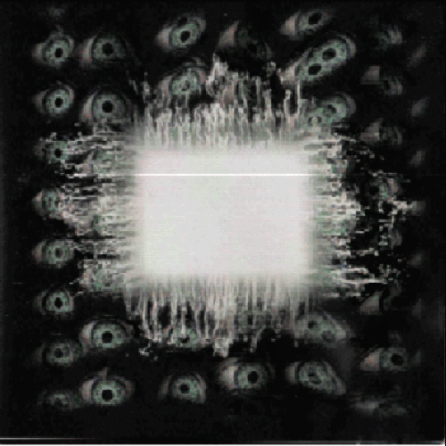 Ænima — Tool | Last.fm