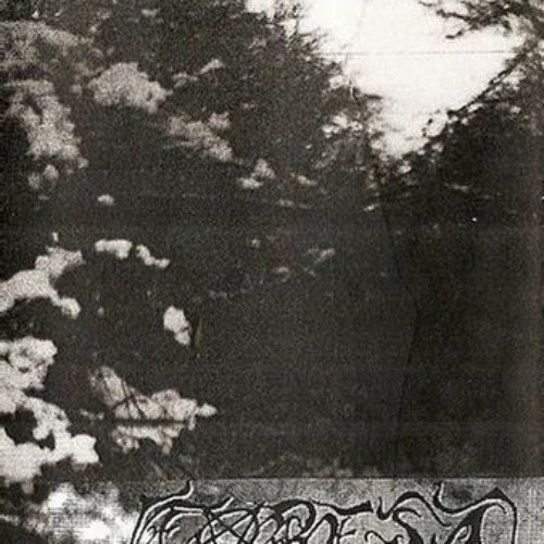 The 3rd Winter — Forest Silence | Last.fm
