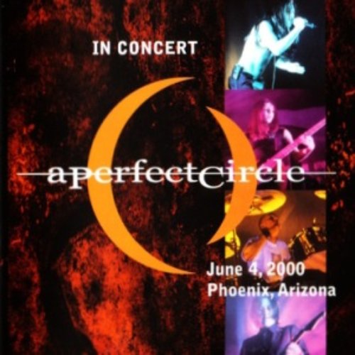 A Perfect Circle Live