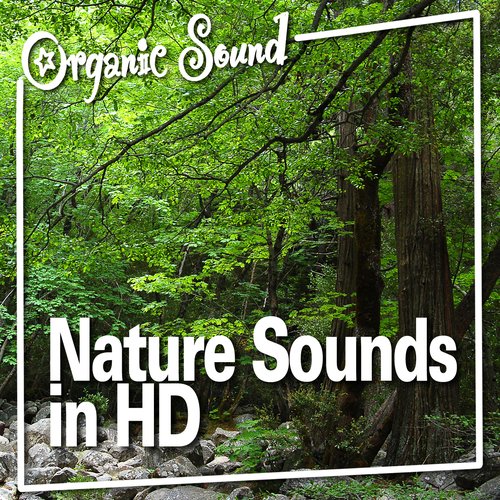 Nature Sounds in HD (Nature Sound) — Organic Sound | Last.fm
