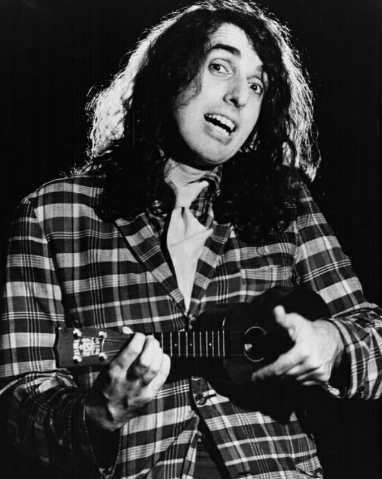 Туя tiny tim фото и описание
