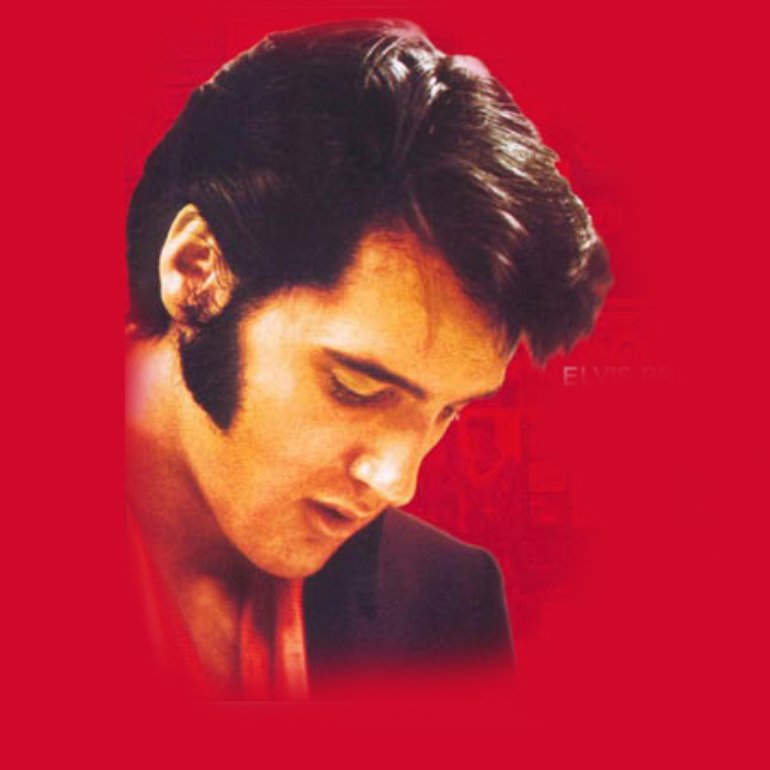 Sideburns Elvis
