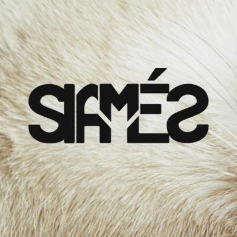 Siames Photos (6 of 9) | Last.fm