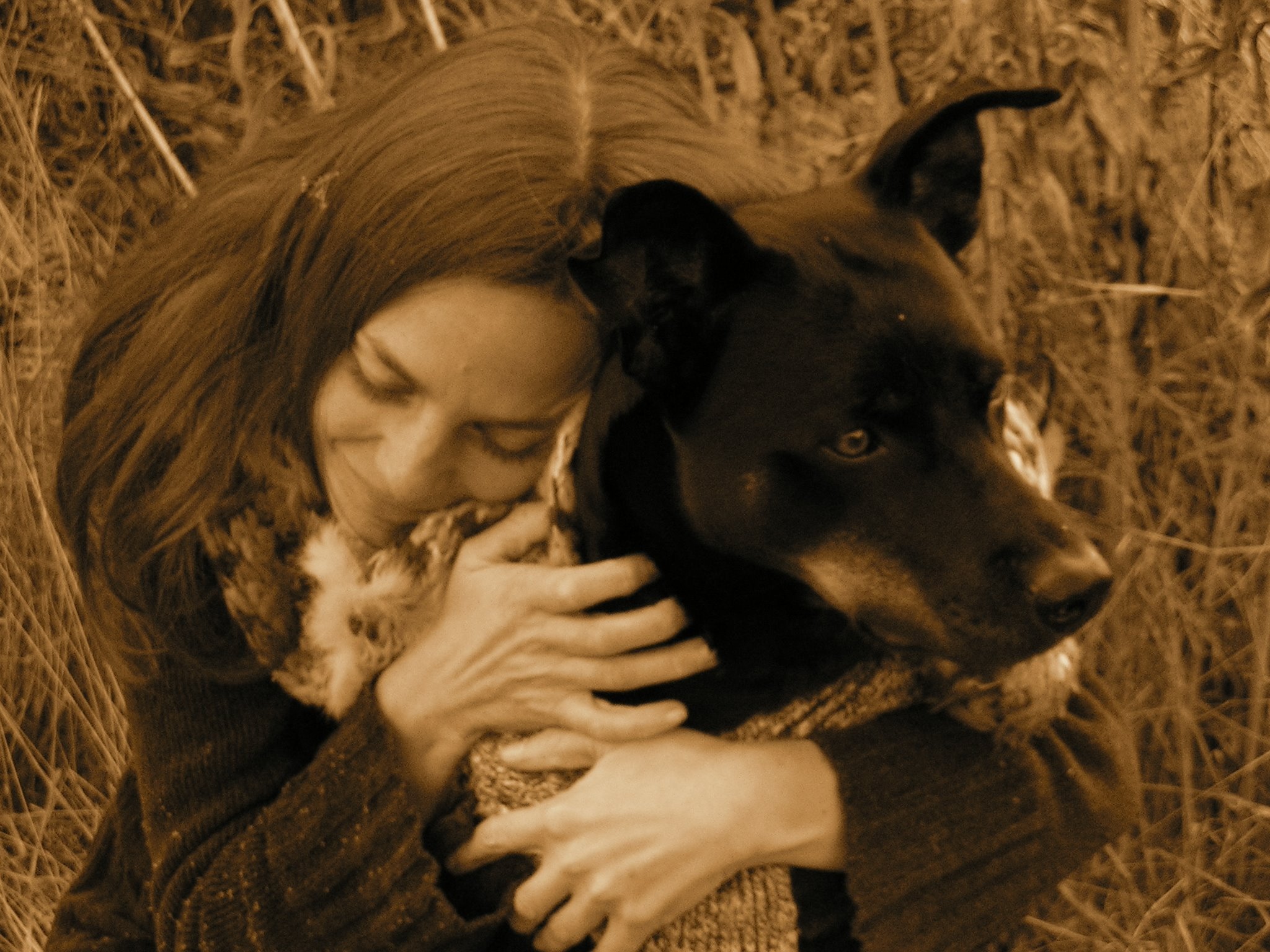 Tirill music, videos, stats, and photos | Last.fm