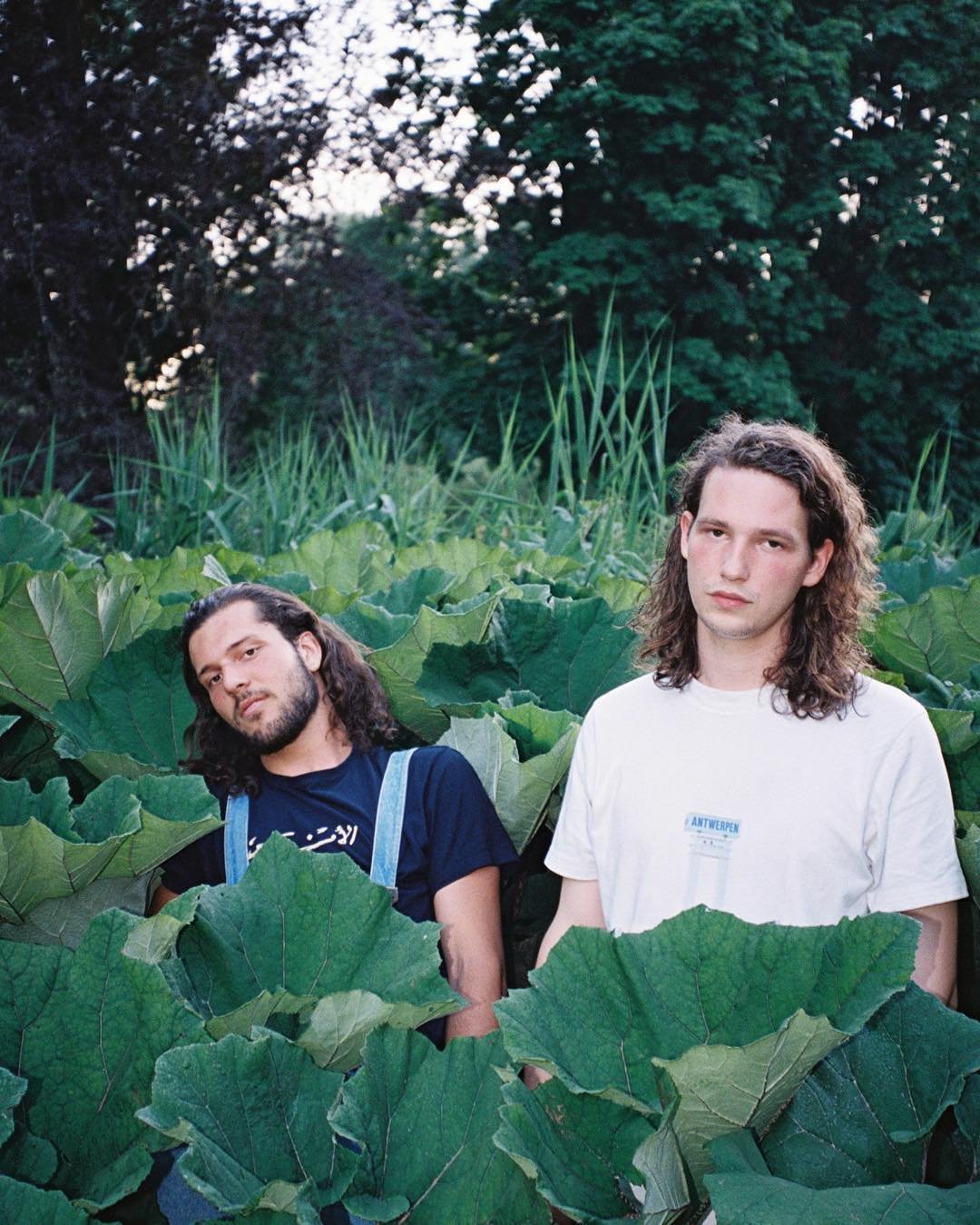 Feng Suave music, videos, stats, and photos | Last.fm