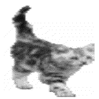 ddddx’s Music Profile | Last.fm