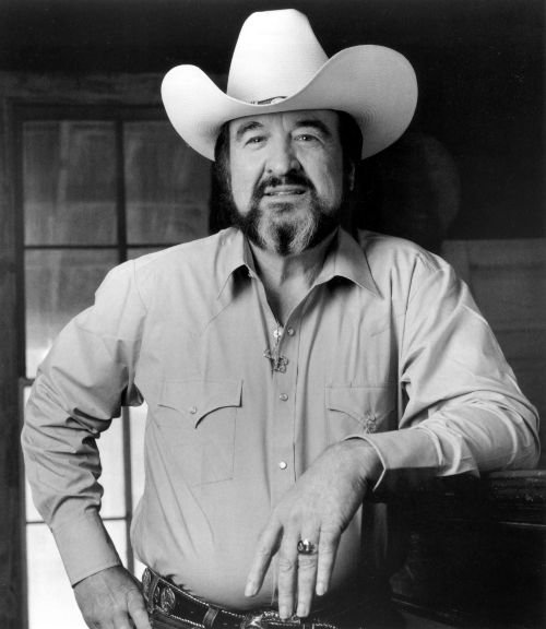 Green Snakes On The Ceiling Singer | Shelly Lighting