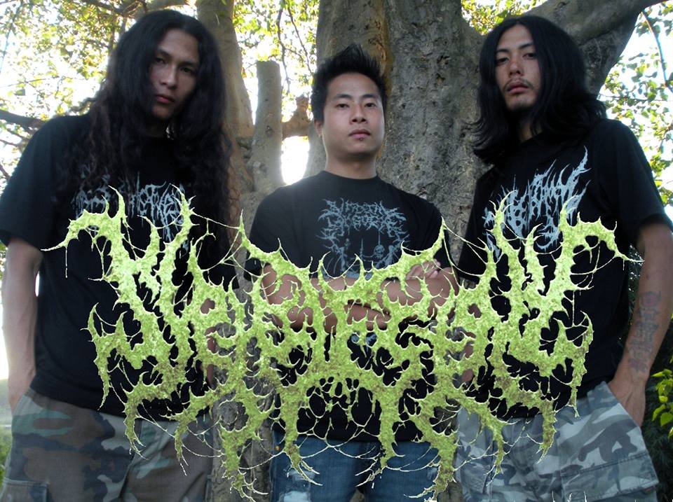 Syphilectomy music, videos, stats, and photos | Last.fm