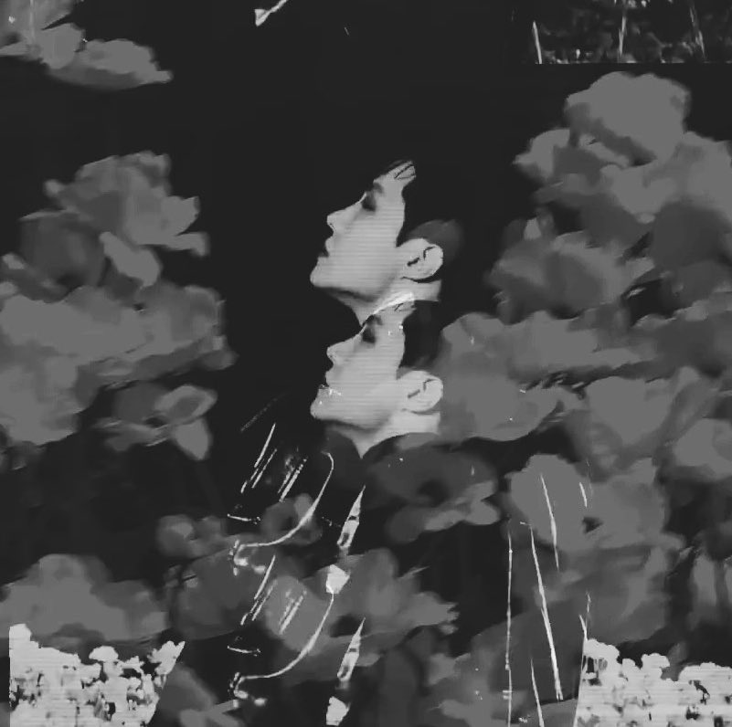 Colección De Hobi Luvr Last Fm