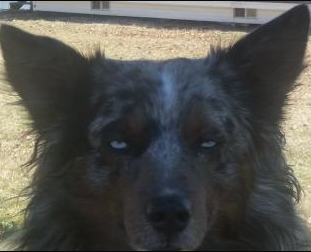 Angel_HB’s Music Profile | Last.fm