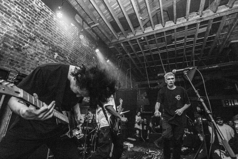 Vein music, videos, stats, and photos | Last.fm