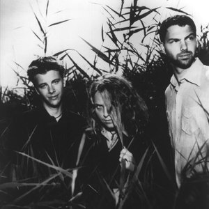 Salt music, videos, stats, and photos | Last.fm