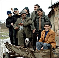 shukar collective music, videos, stats, and photos | Last.fm