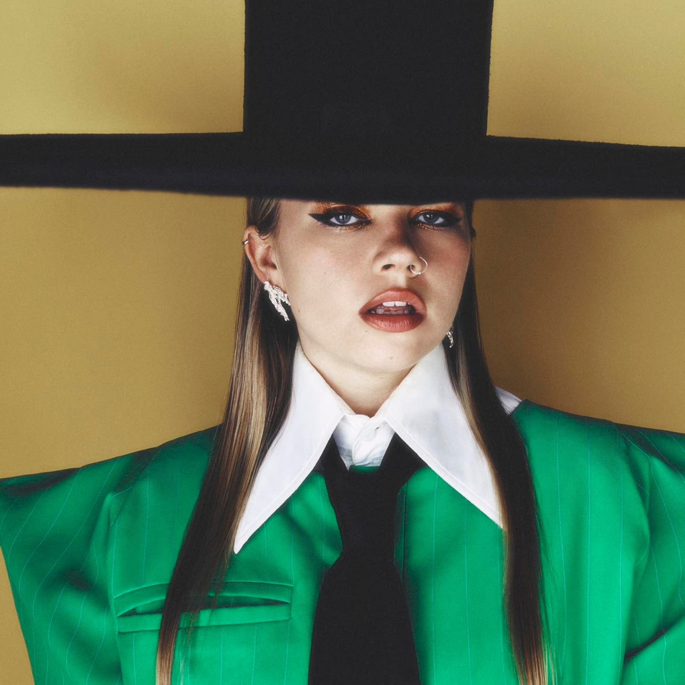 Chinchilla müzikleri, videoları, istatistikleri ve fotoğrafları | Last.fm