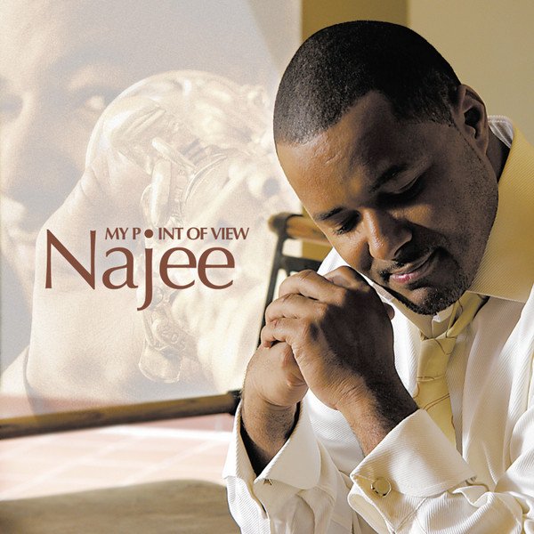 My Point Of View — Najee | Last.fm