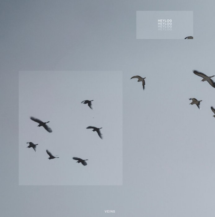 live — heylog | Last.fm