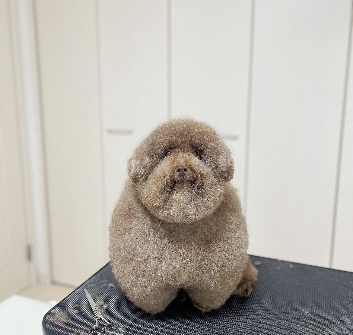 bloomtodeath’s Music Profile | Last.fm