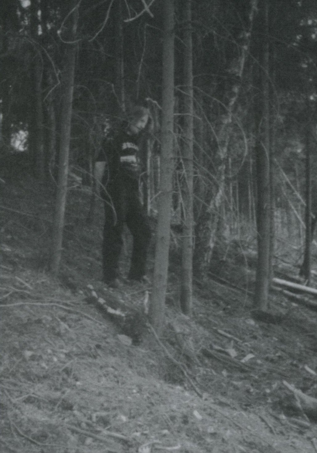 Bilskirnir - Música, videos, estadísticas y fotos | Last.fm